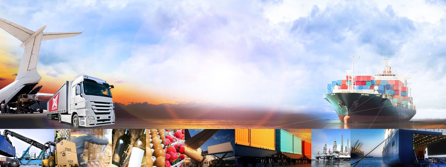 EXCESS International Transitaire fret aérien maritime (+150 pays)